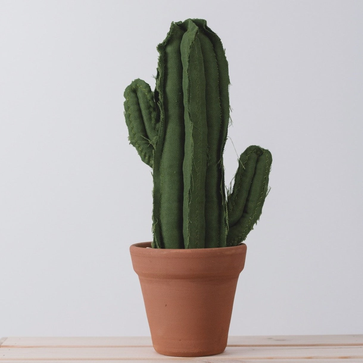 Large Saguaro Cactus – Local Makers