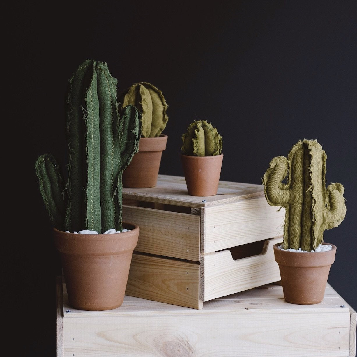 Large Saguaro Cactus – Local Makers