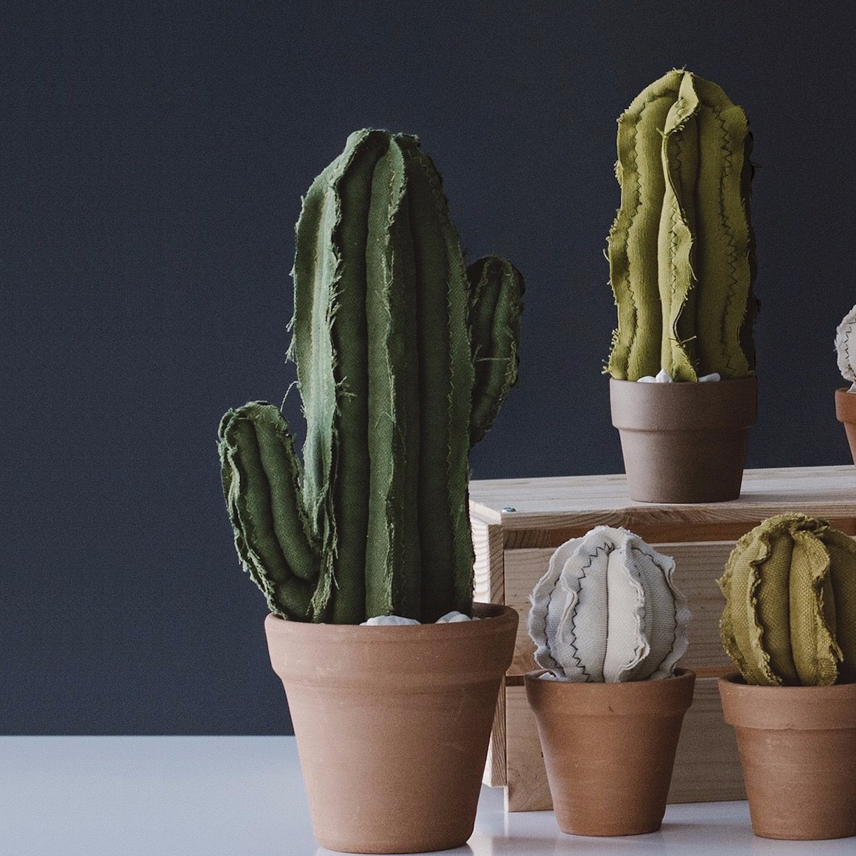 Large Saguaro Cactus – Local Makers